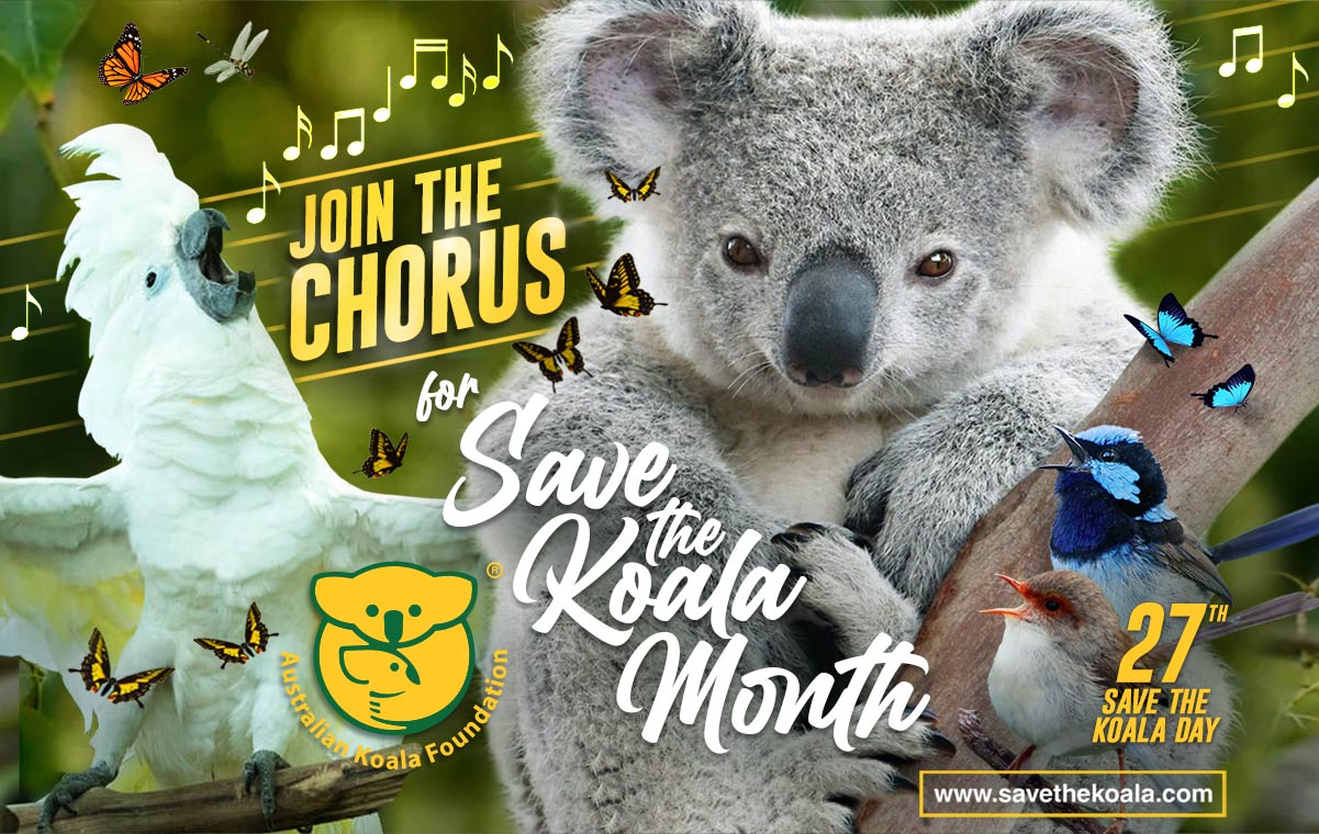 The Australian Koala Foundation urges people to raise their voices